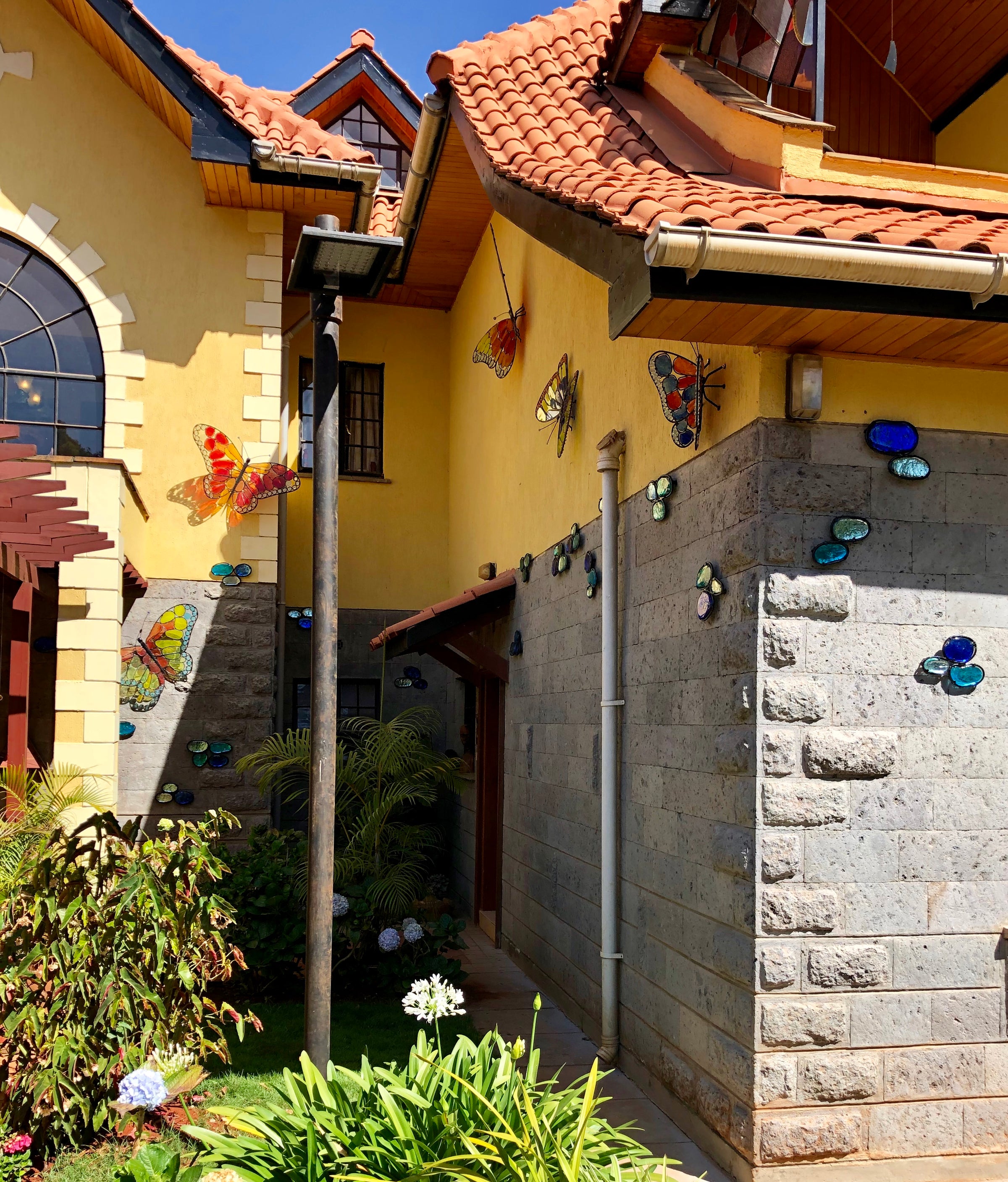 insects– Kitengela Glass