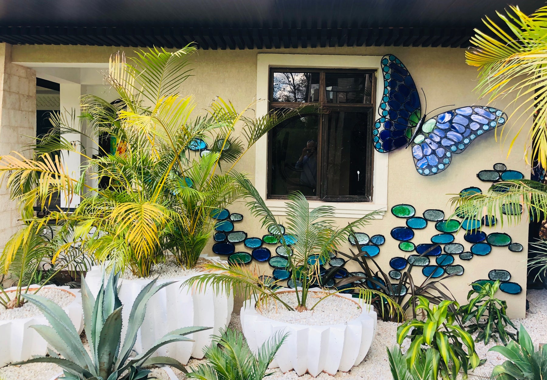 insects– Kitengela Glass