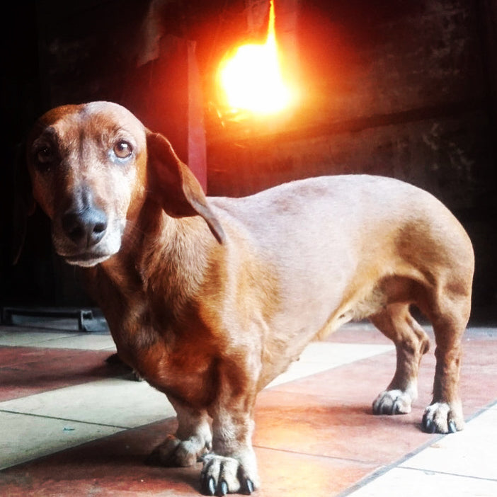 Experience - suspended bridge crossing – Kitengela Glass